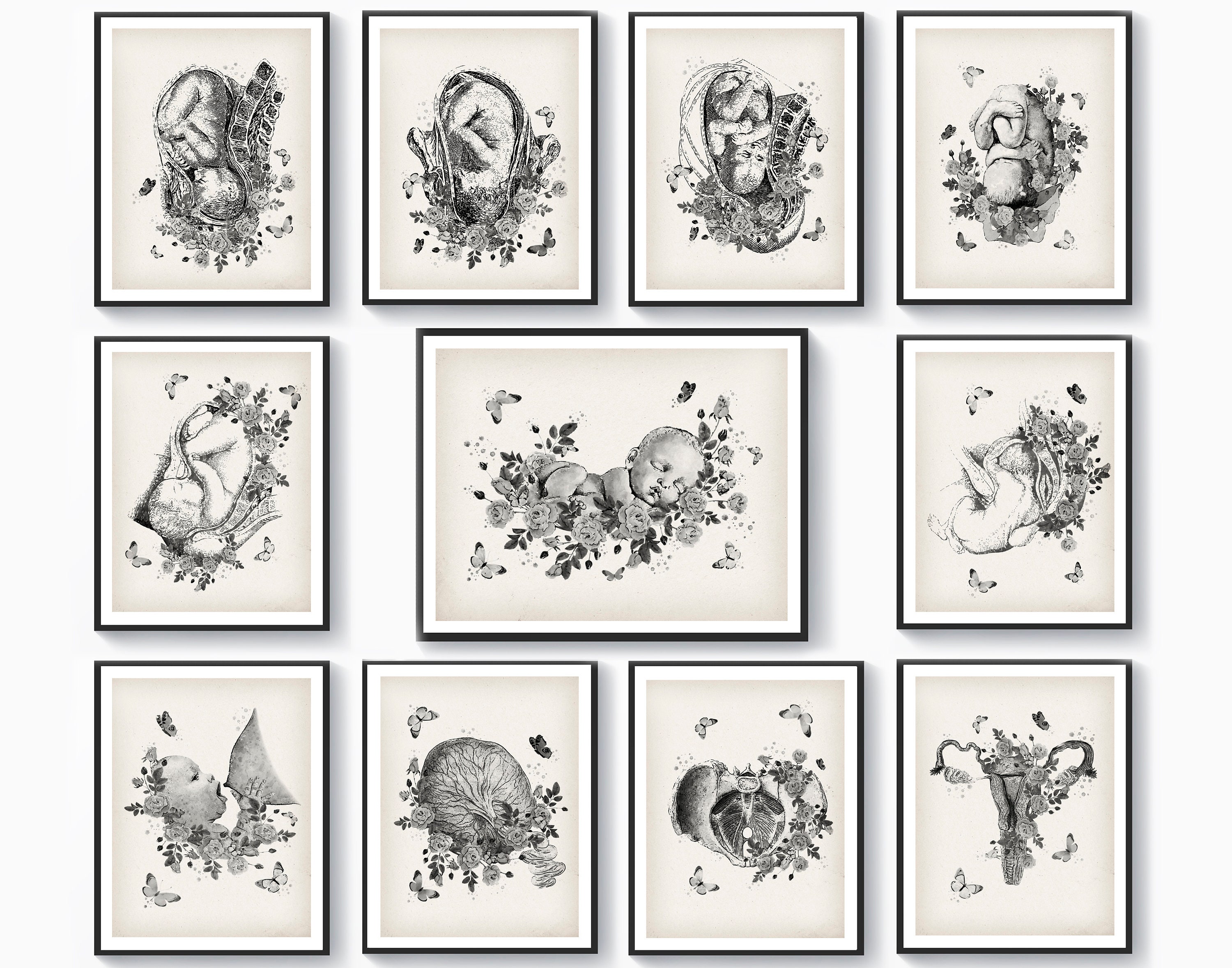 11 Fetal Development and Childbirth Art Embryo in Womb Fetus - Etsy