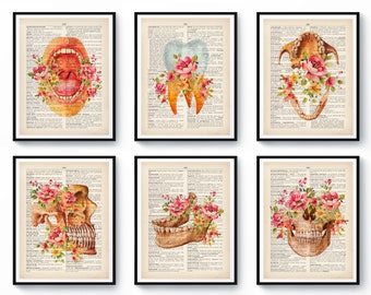 Tooth Anatomy Art Dentist Gift Dental Clinic Decor Dental - Etsy
