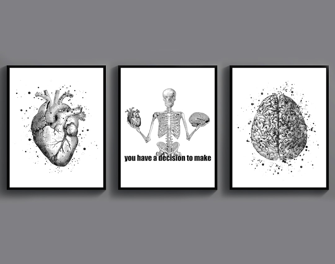 Balance Between Heart and Brain Art Surreal Drawing Anatomical Heart ...