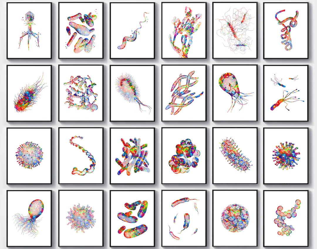 24 Bacteriology Art Watercolor Bacteria Artwork Microbiology Art ...