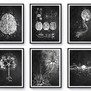 Neurology Art Set 6 Anatomy Chalkboard Drawing Medical Art - Etsy