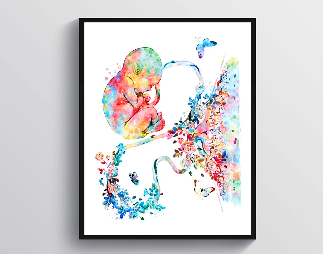 Fetus Art Obgyn Artwork Baby in Womb Art Placenta Art Umbilical Cord ...