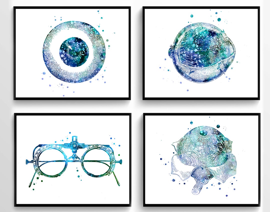 Set 4 Eye Anatomy Art Optometry Poster Medical Art Eyeball Art Pupil ...