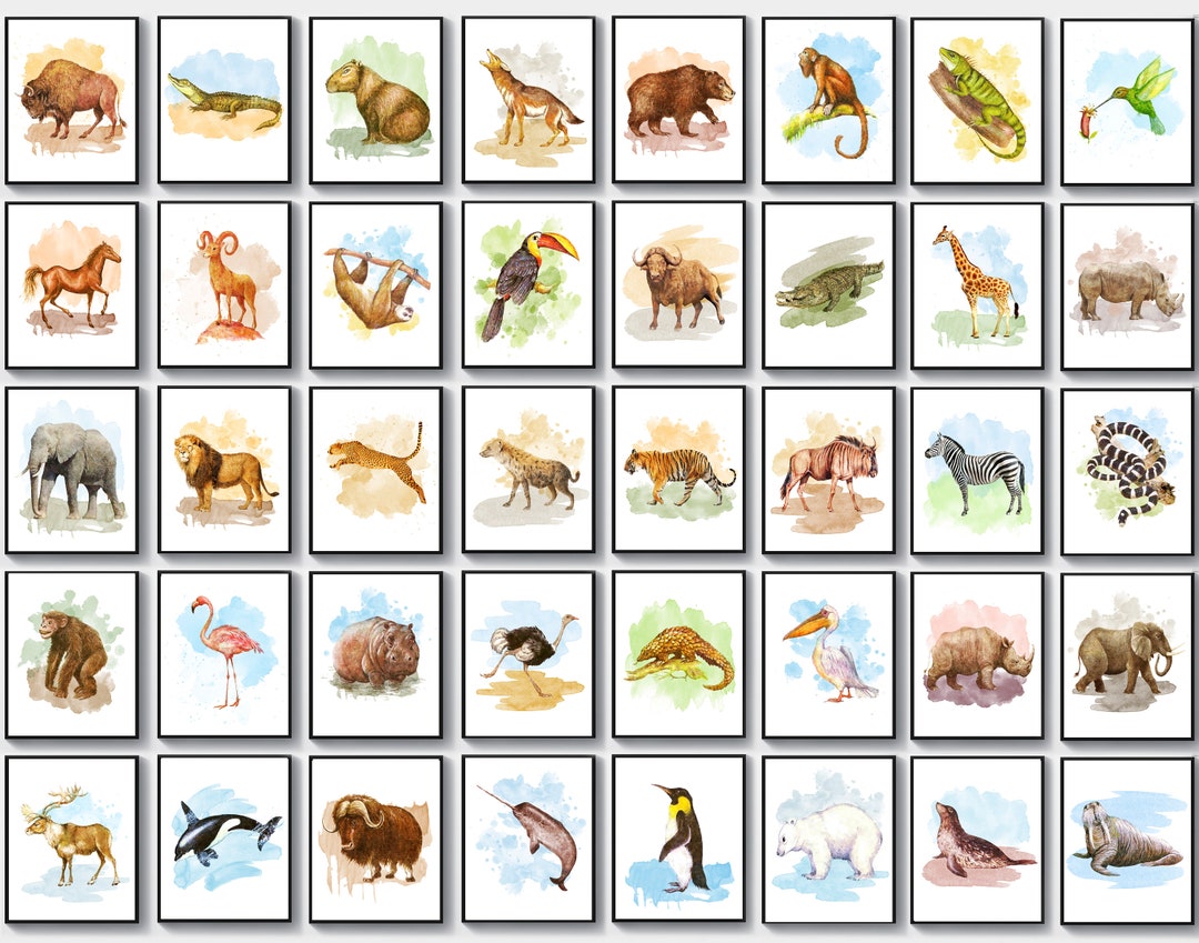 40 Watercolor Animal Art Biology Art Wild Animal Poster Safari Animal ...