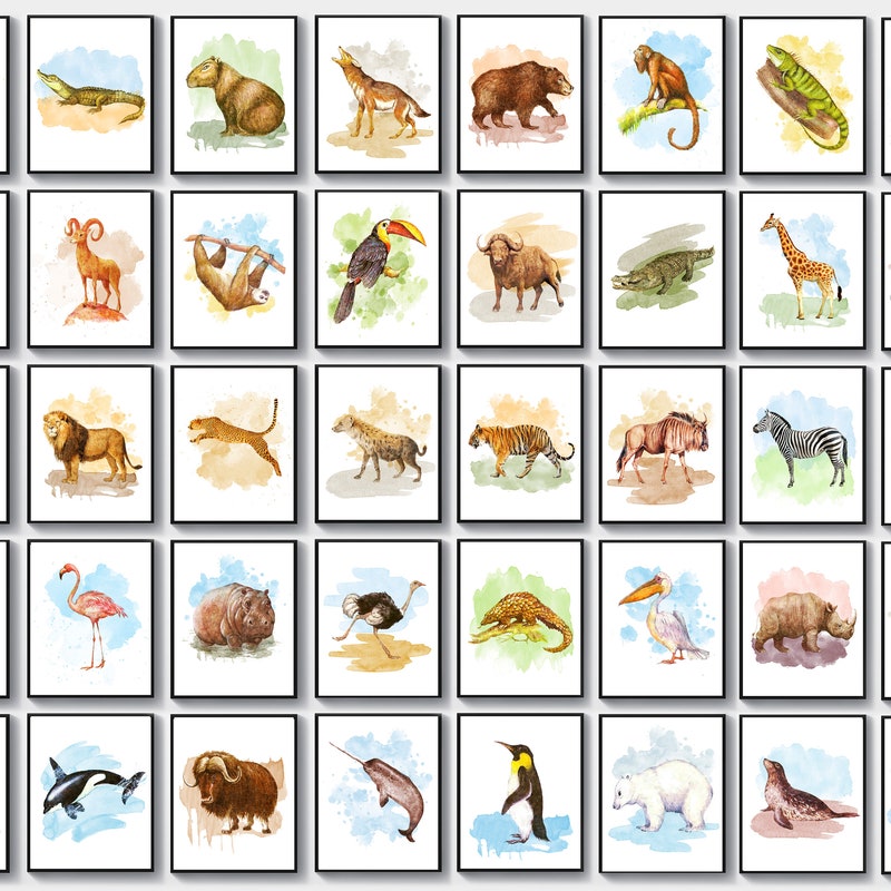 Animals Poster - Etsy