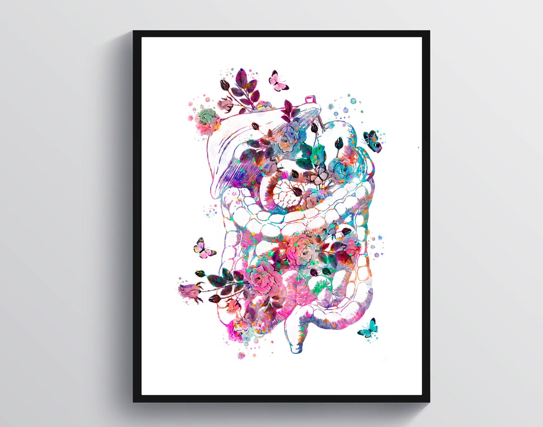 Digestive System Art Watercolor Anatomy Artwork Medical Art ...