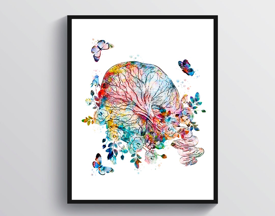 Midwife Gift Watercolor Placenta Art Afterbirth Art Obgyn Art ...