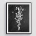 5 Microbiology Bacteria Art Posters Science Art Biologist Gift Microbe ...