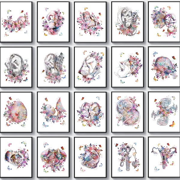 Female Anatomy - Etsy