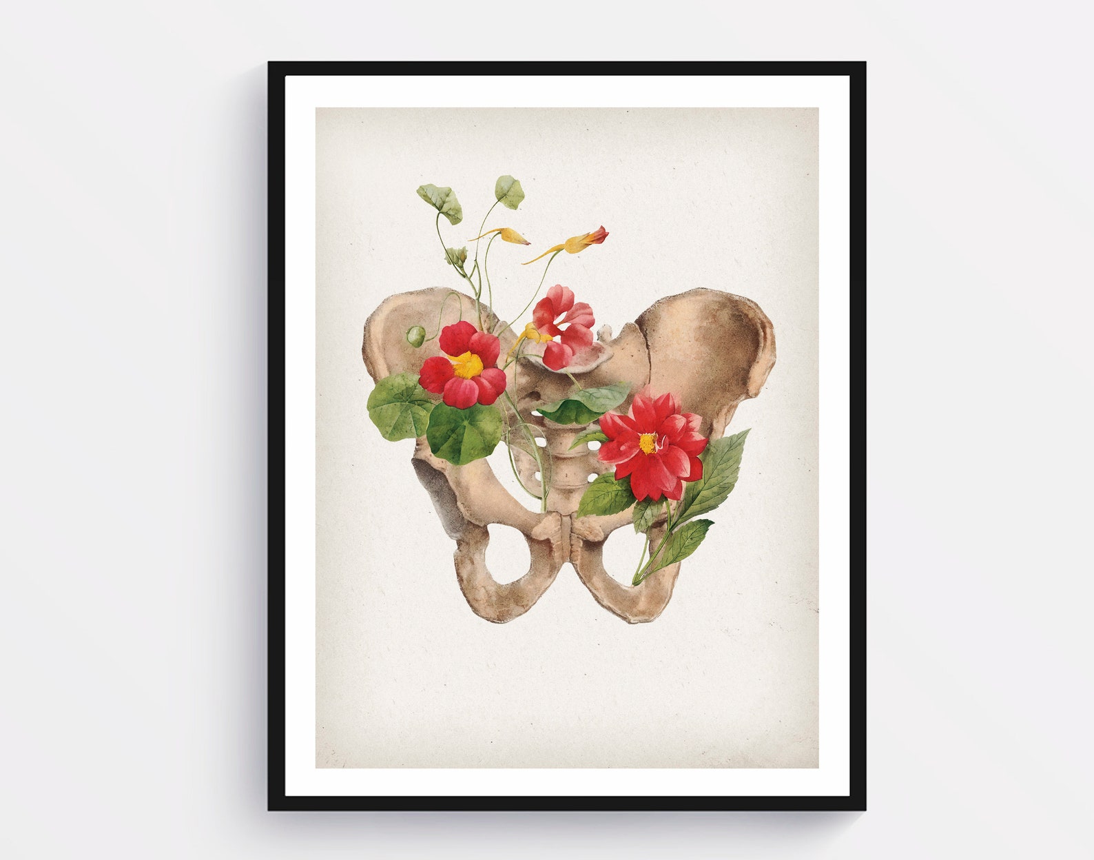 Floral Pelvis Anatomy Art Pelvic Anatomy Poster Orthopedic Art ...