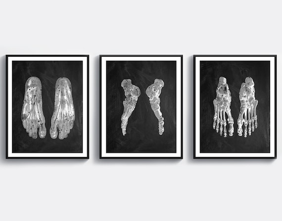 3 Chalkboard Anatomy Art Foot Bones Podiatrist Office Gift | Etsy