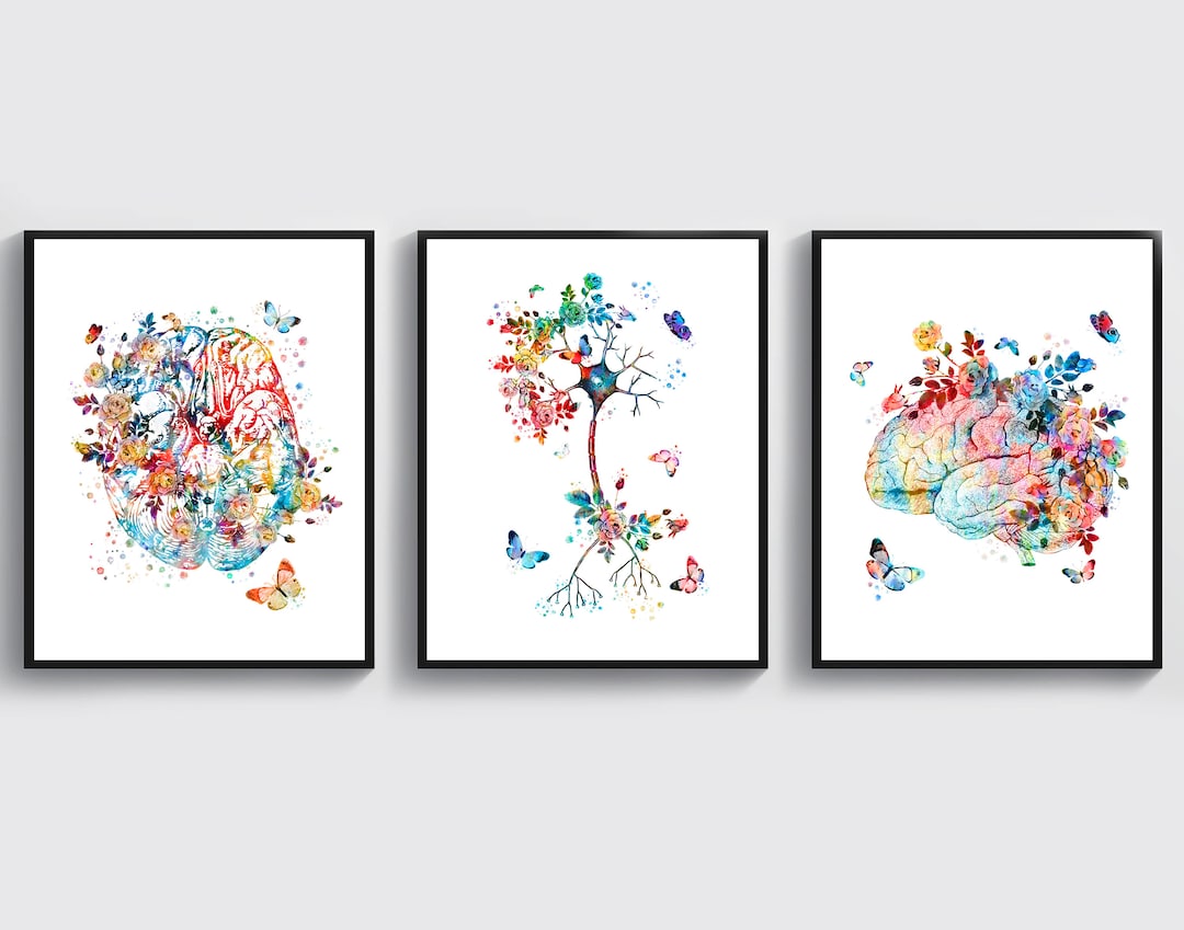 3 Brain Anatomy Art Neuron Art Neurology Art Medical Art Science Art ...