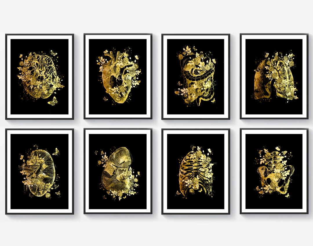 8 Gold Black Anatomy Art Floral Medical Art Human Organ Painting Doctor ...