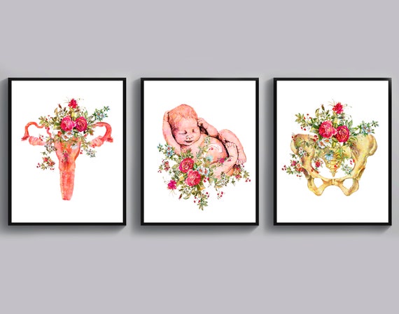 3 Pregnancy Art Baby Newborn Art Anatomical Female Uterus Art - Etsy