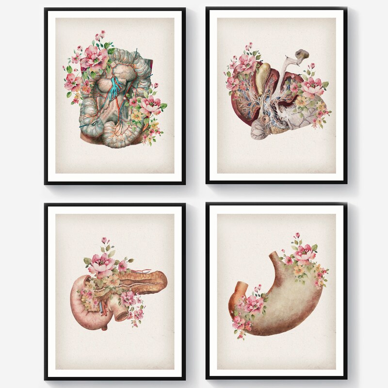 Intestines - Etsy