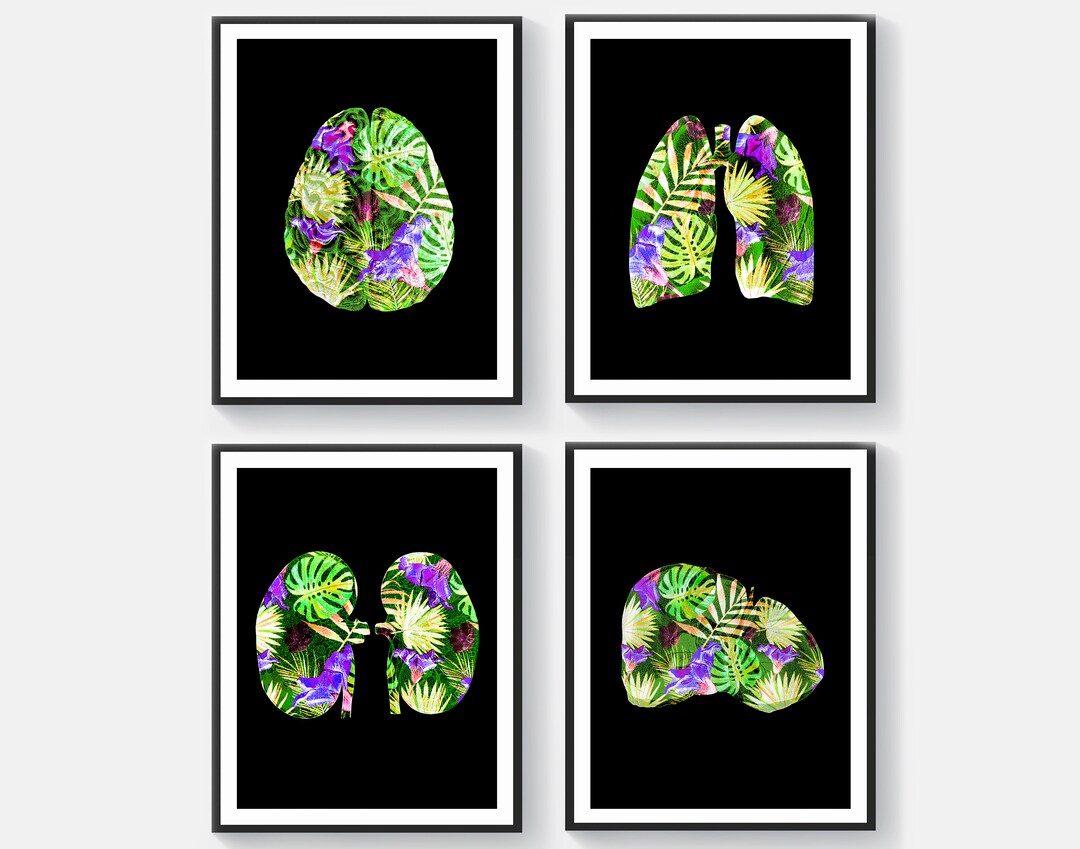 4 Floral Anatomy Wall Decor Medical Art Botanical Art Tropical Art ...