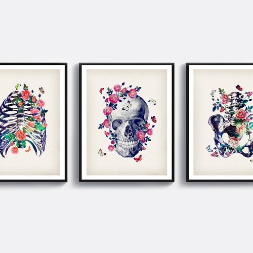 Doctor Office Decor Medical Art Set Doctor Graduation Gift - Etsy