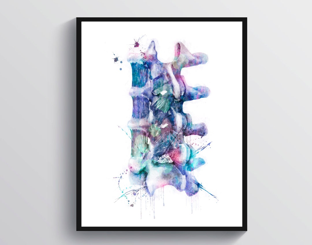 Chiropractor Gift Spine Art Watercolor Anatomy Art Vertebral Column Art ...