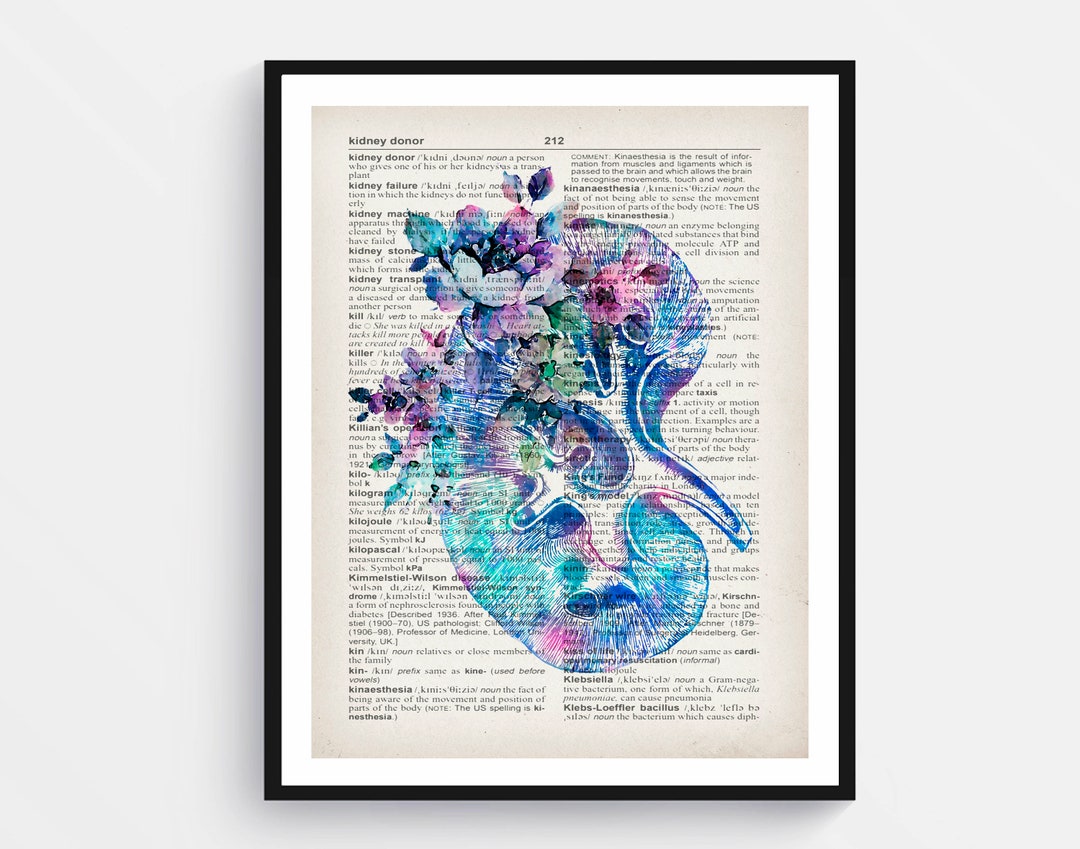 Kidney Art Anatomy Art Medical Art Dictionary Art Science Art Renal ...