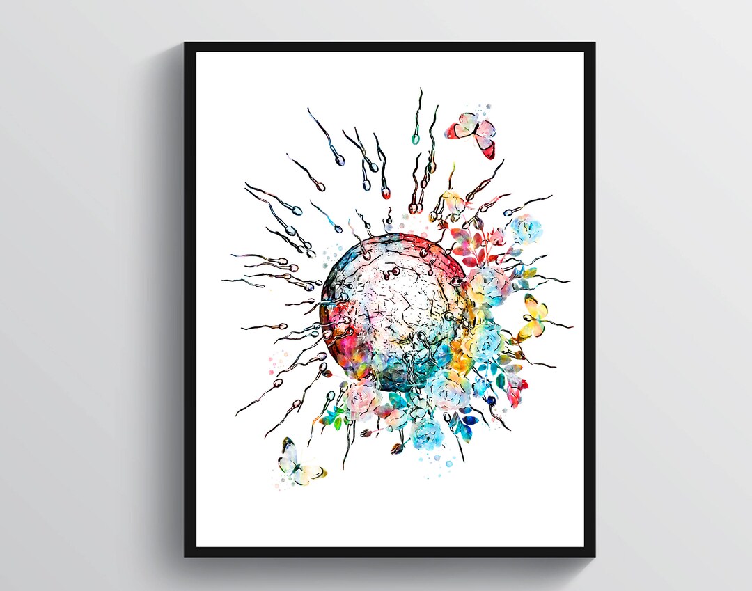 Male Sperm Cells Fertilizing Female Egg Art Fertility Art - Etsy