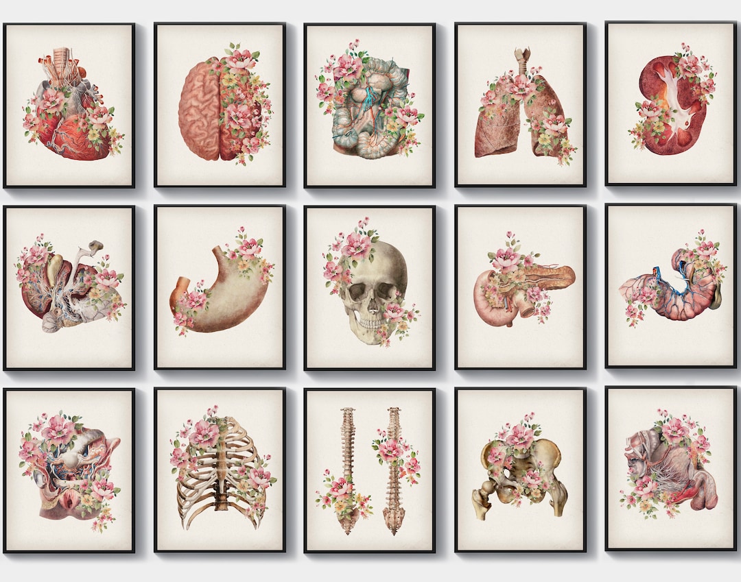 15 Vintage Anatomy Art Floral Art Physiology Poster Medical Painting ...