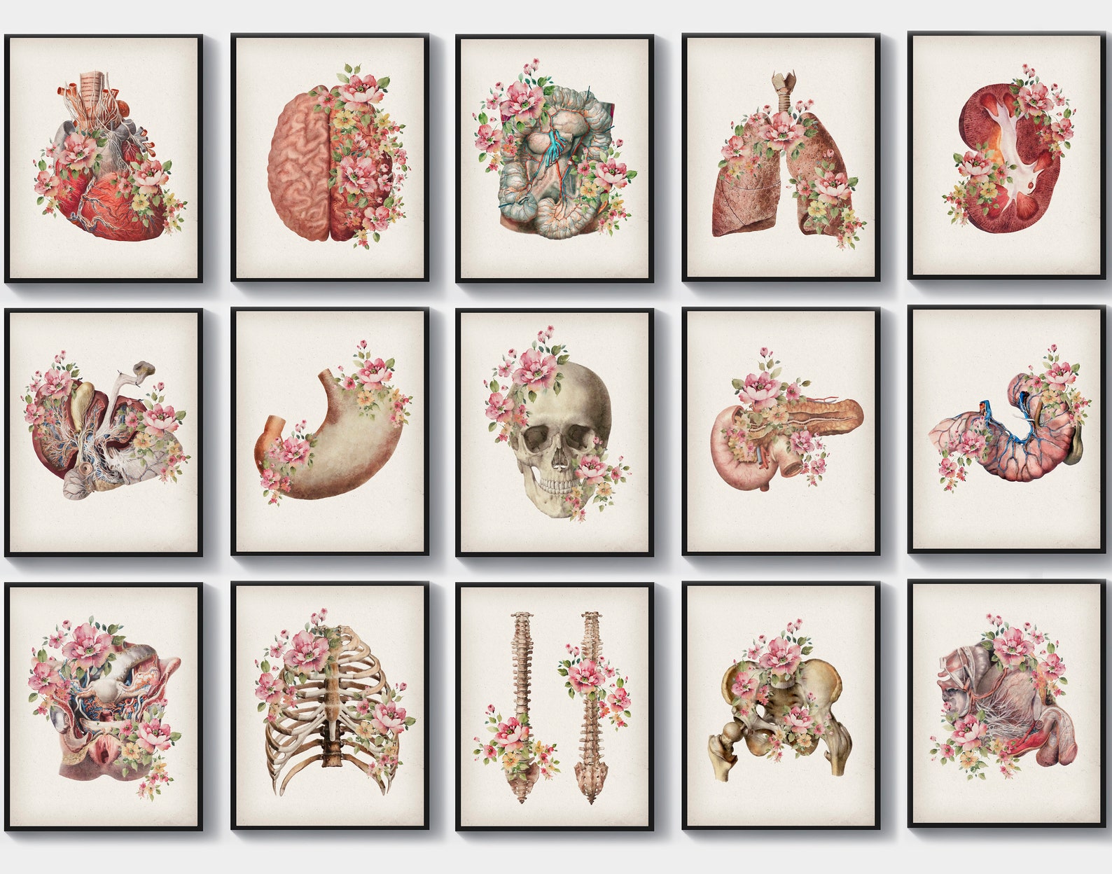 15 Vintage Anatomy Art Floral Art Physiology Poster Medical - Etsy