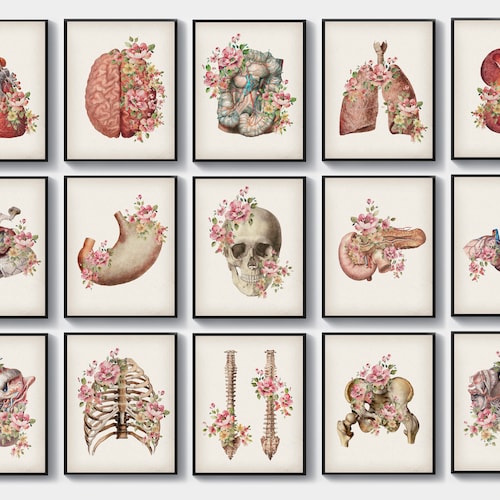 15 Vintage Anatomy Art Floral Art Physiology Poster Medical - Etsy