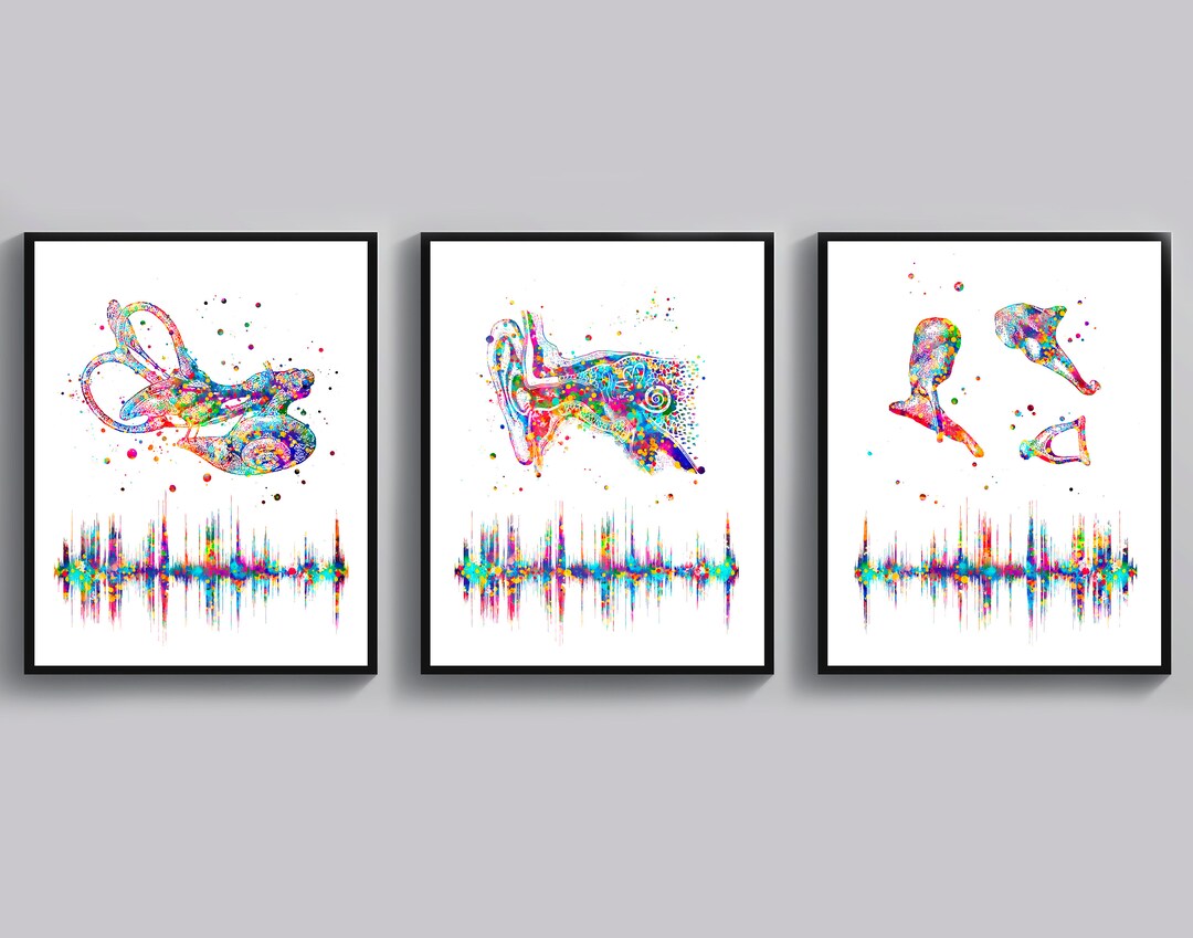 Audiologist Gift Hearing System Anatomy Art Medical Artwork Ear Organs ...