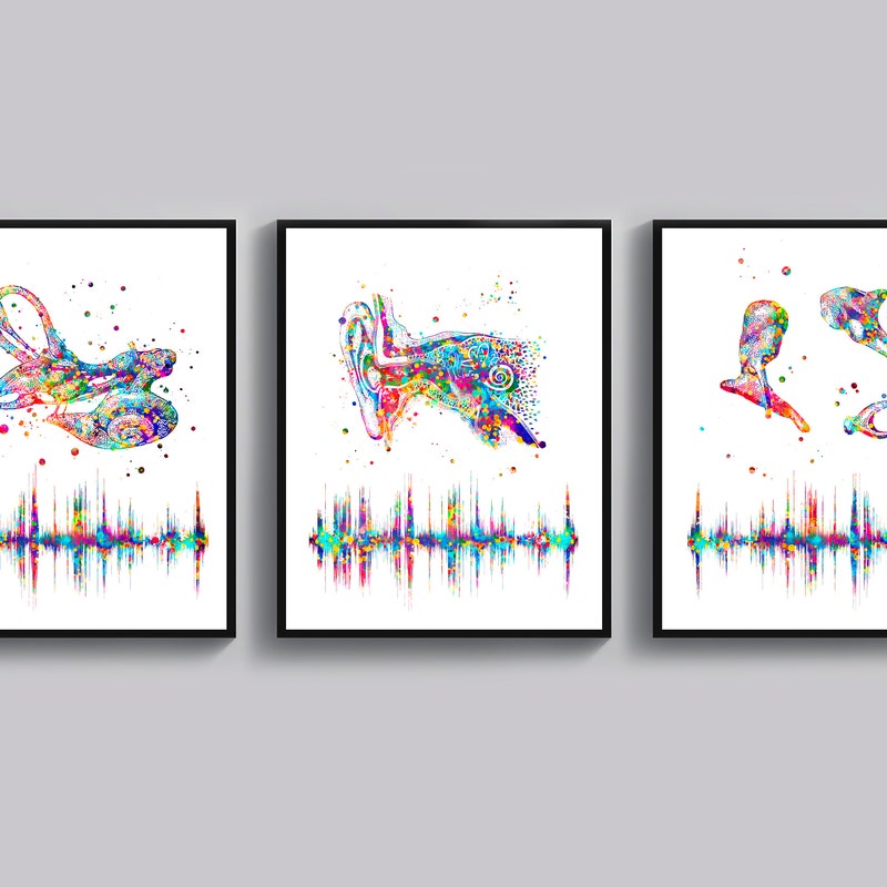 Anatomy Drawing - Etsy