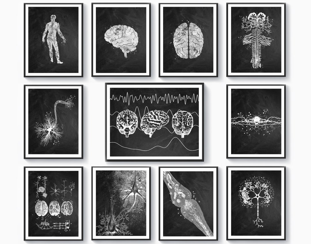 11 Brain Neuroscience Chalkboard Art Medical Decor Neurology Artwork ...