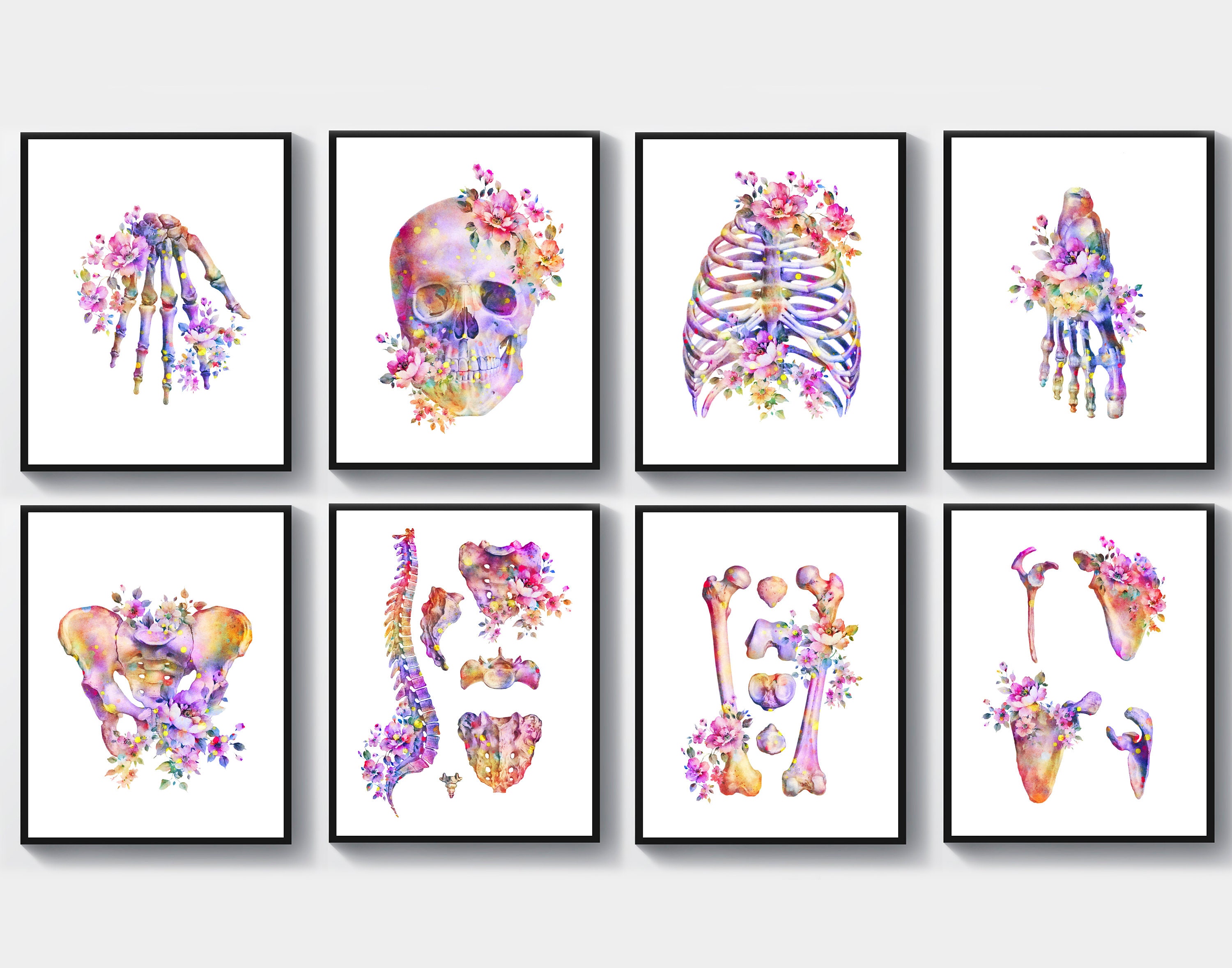 Set 8 Anatomical Skeleton Art Watercolor Skeletal Bones - Etsy
