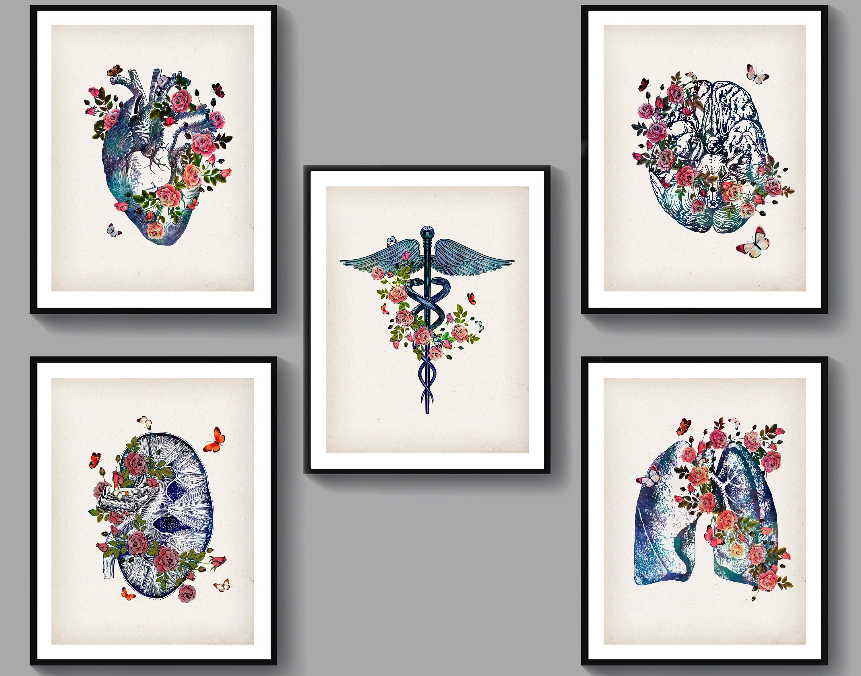 5 Gift for Doctor Medical Art Nurse Graduation Anatomy Decor Anatomical ...