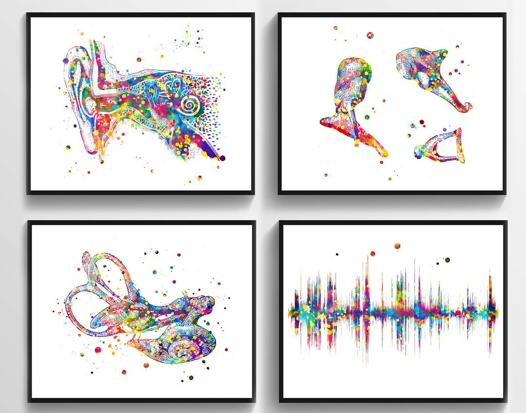 4 Audiologist Gift Hearing System Anatomy Art Watercolor Medical ...