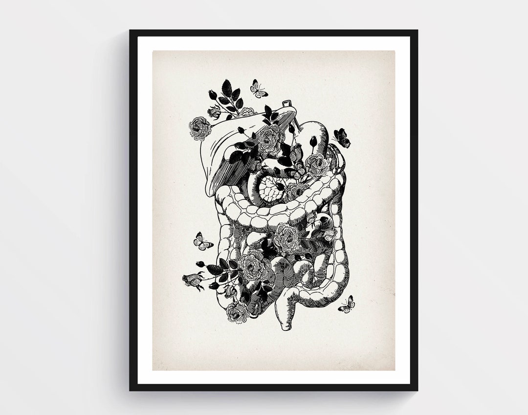 Anatomy Art Medical Art Digestive System Print Abdomen Art Intestine ...