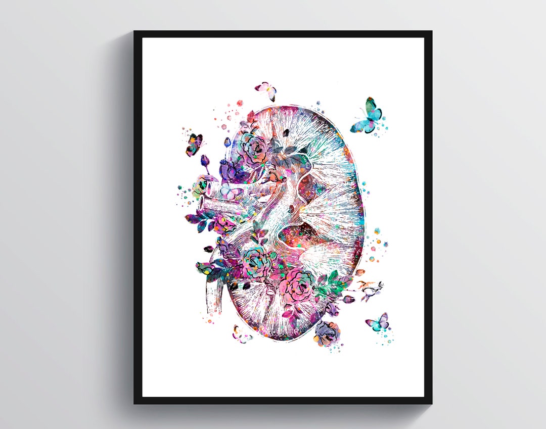 Kidney Art Human Anatomy Artwork Nephrologist Gift Medical Science Art ...