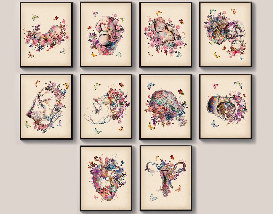 10 Vintage Obgyn Artwork Midwifery Poster Fetal Development - Etsy ...