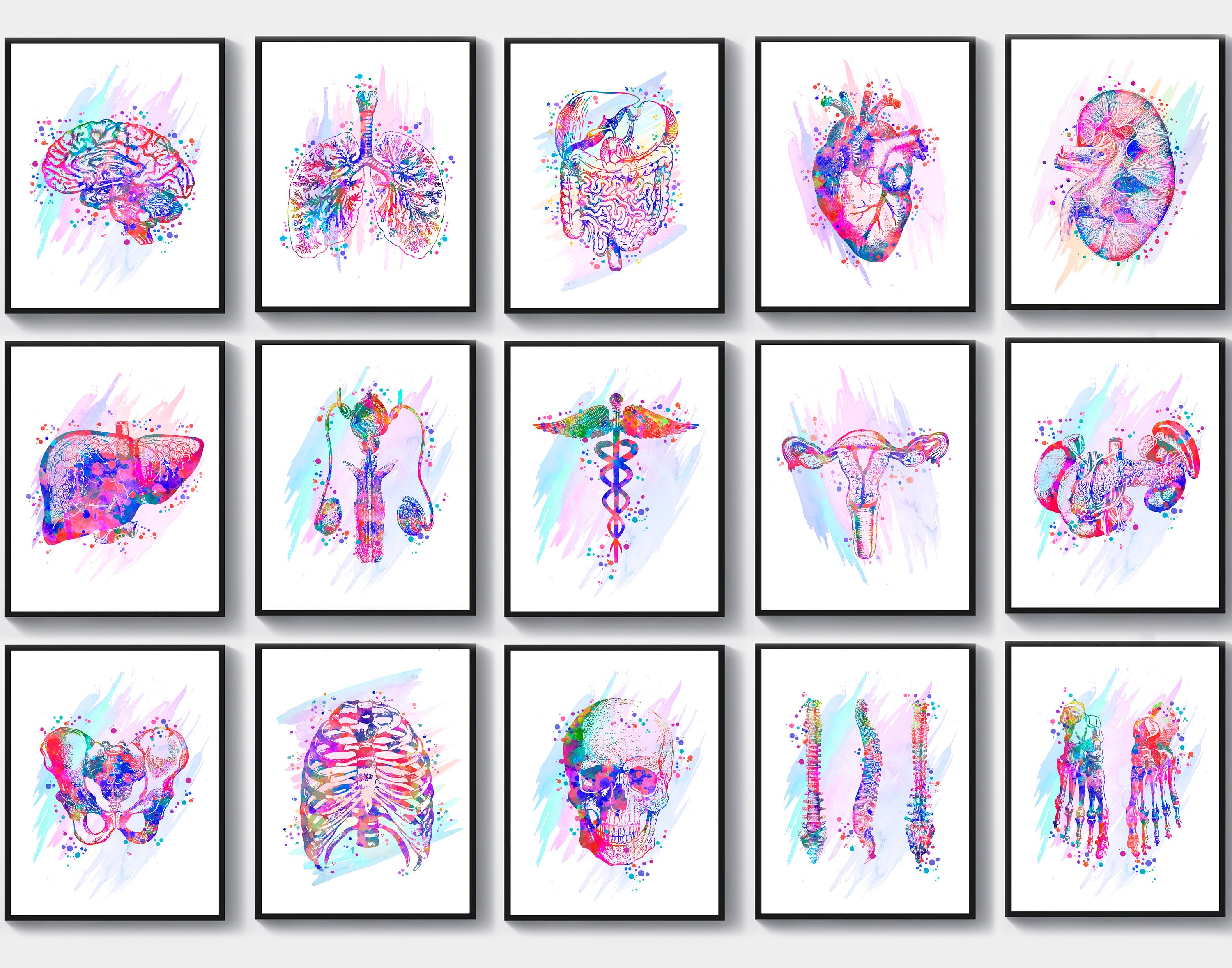 15 Watercolor Anatomy Art Physiology Art Medical Art Caduceus Art ...