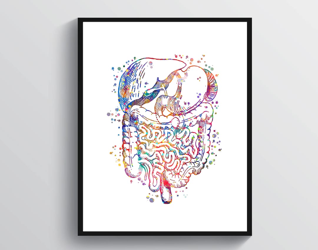 Digestive System Poster Watercolor Anatomy Art Medical Art ...