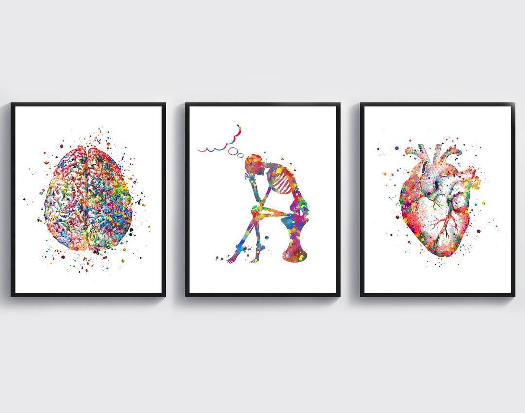 3 Philosophy Art Skeleton Thinker Art Human Brain and Heart Art Medical ...
