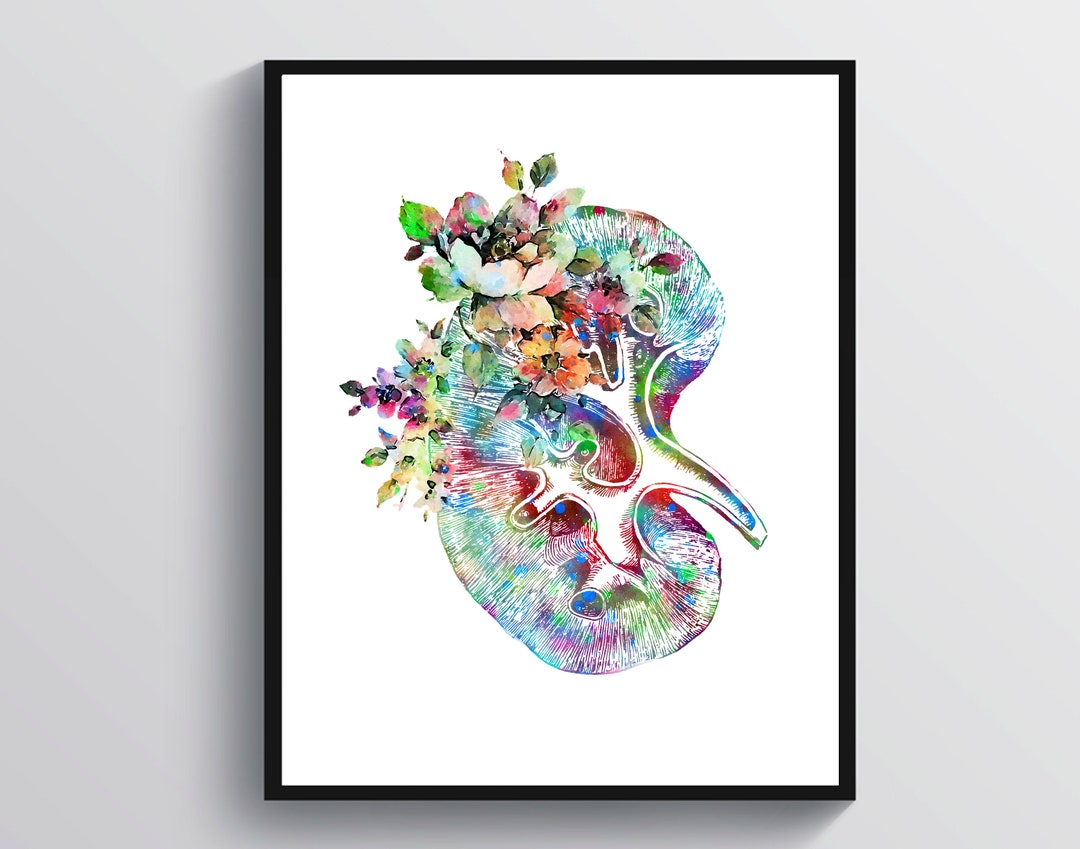 Anatomical Kidney Art Floral Anatomy Artwork Nephrologist Gift Medical ...