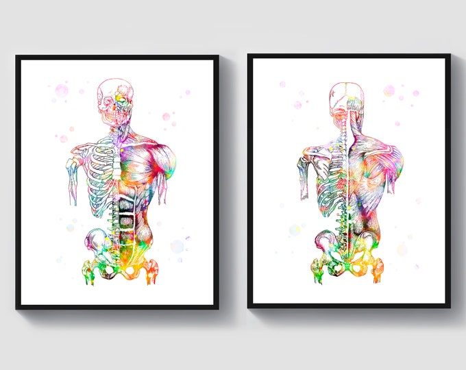 12 Neuroscience Art Posters Neurological Art Cognitive Biology Art ...