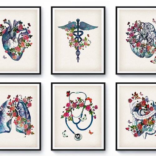 Anatomy Posters Medical Art Anatomical Heart Brain Lungs Liver - Etsy