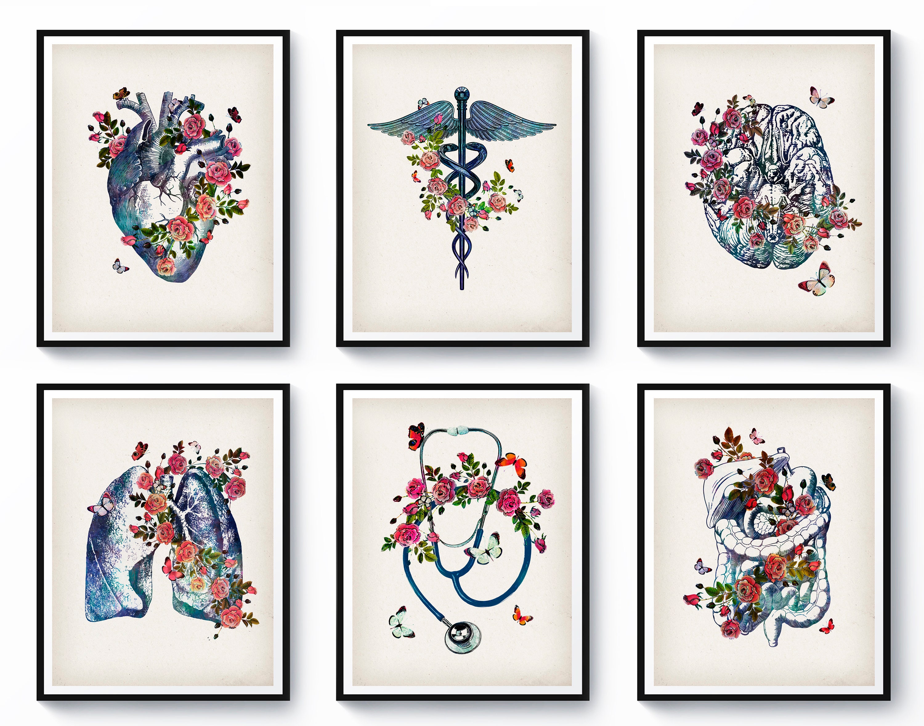 6 Medical Art Vintage Anatomy Decor Anatomical Heart Lungs - Etsy Canada