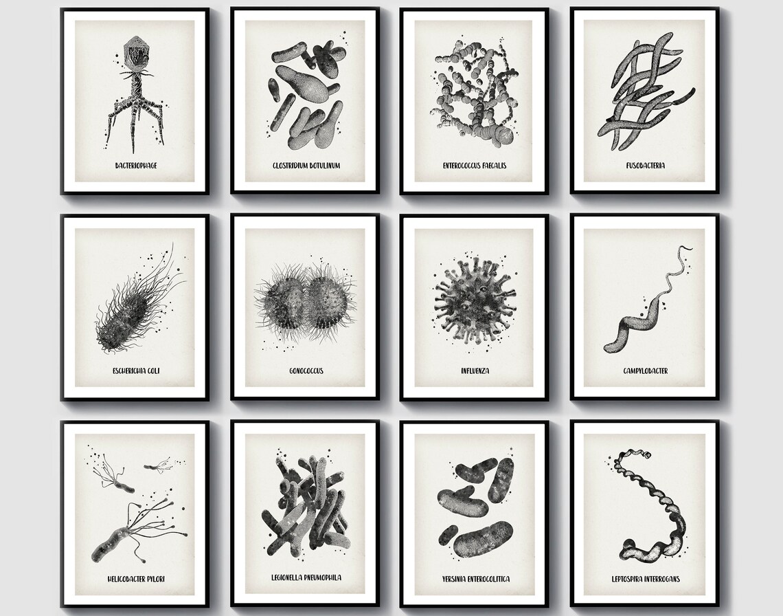 12 Bacteria Types Posters Vintage Microbiology Art Science Art Medical ...