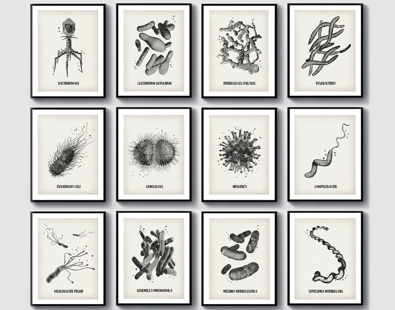 12 Bacteria Types Posters Vintage Microbiology Art Science Art Medical ...