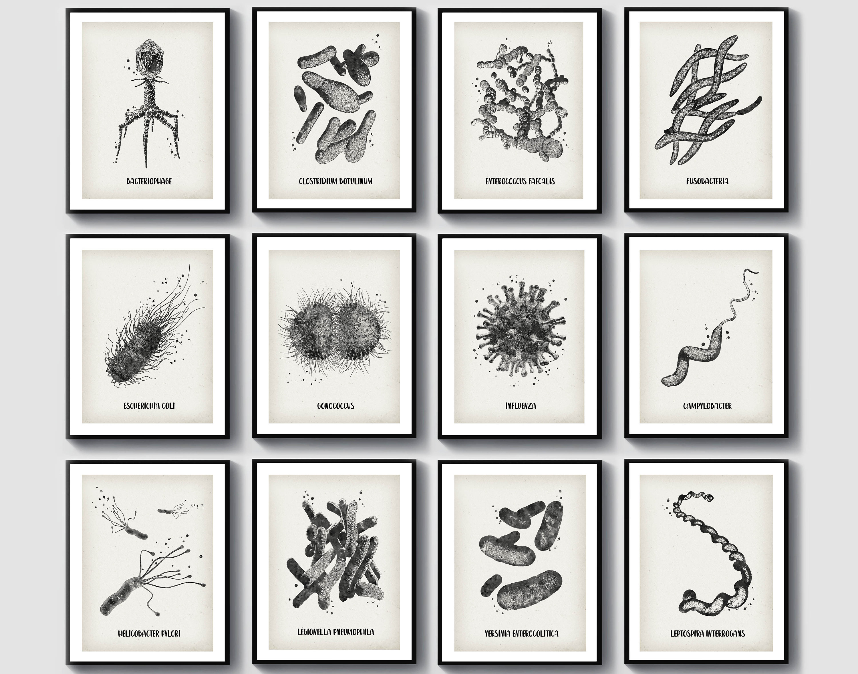 12 Bacteria Types Posters Vintage Microbiology Art Science Art Medical ...