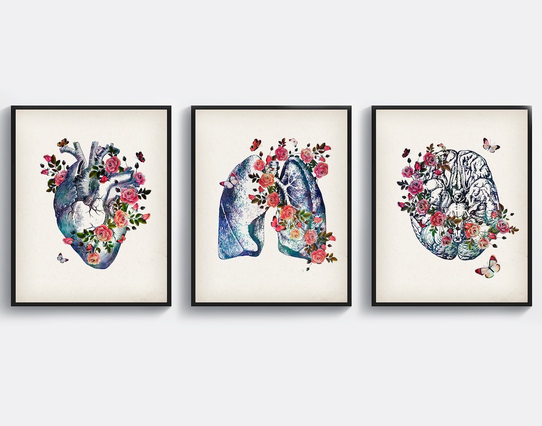 3 Vintage Anatomy Art Medical Art Organ and Roses Art Anatomical Heart ...
