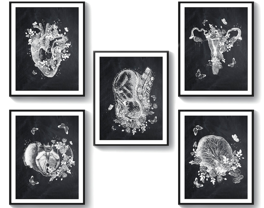 5 Midwife Gift Pregnancy Anatomy Art Fetal Development Poster Baby in ...