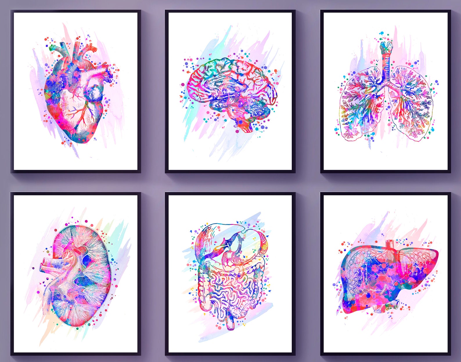 6 Watercolor Anatomy Printables Human Organ Art Medical Art - Etsy