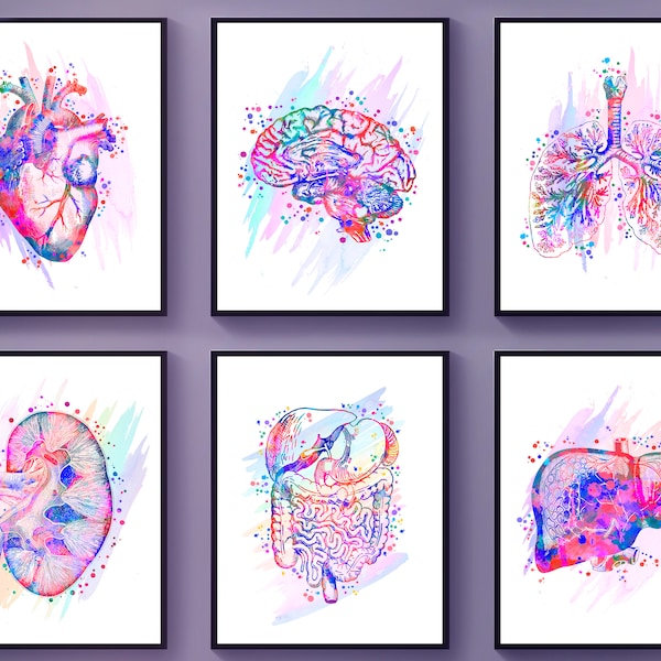 Human Organ Art - Etsy